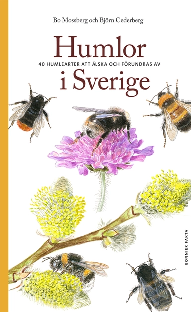 Humlor i Sverige : 40 arter att älska och förundras över - ISBN ...