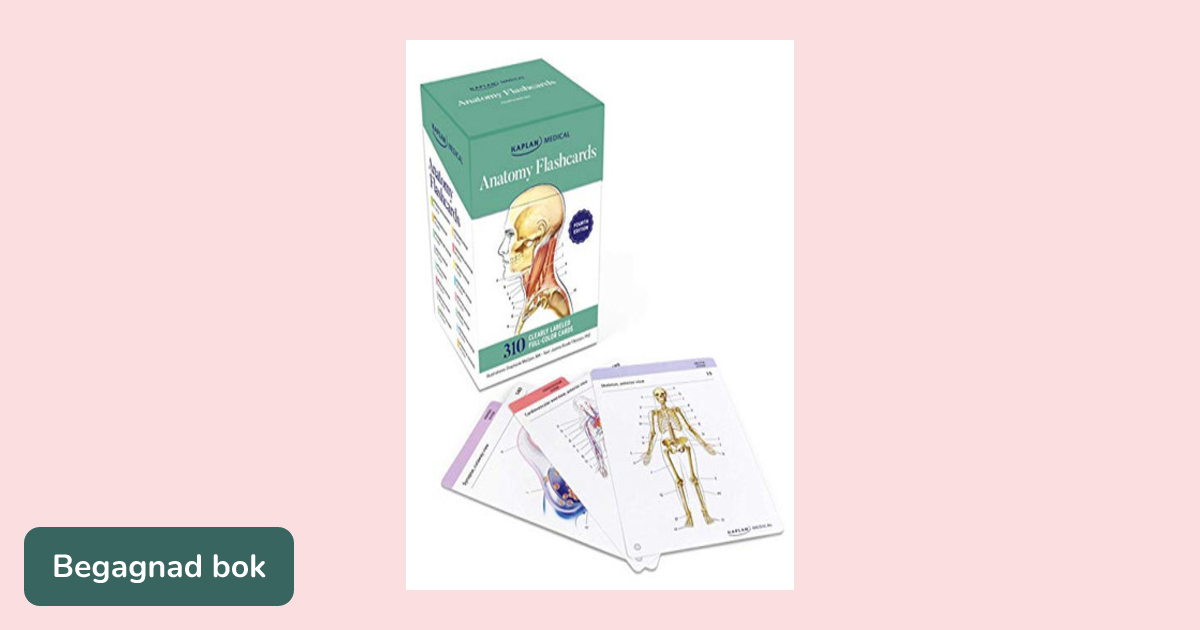 Anatomy Flashcards: 300 Flashcards with Anatomically Precise Drawings ...