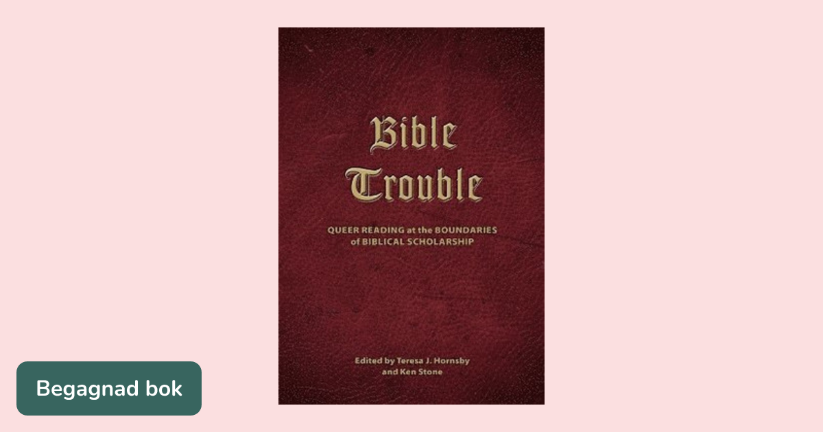 Bible trouble : queer reading at the boundaries of biblical scholarship ...