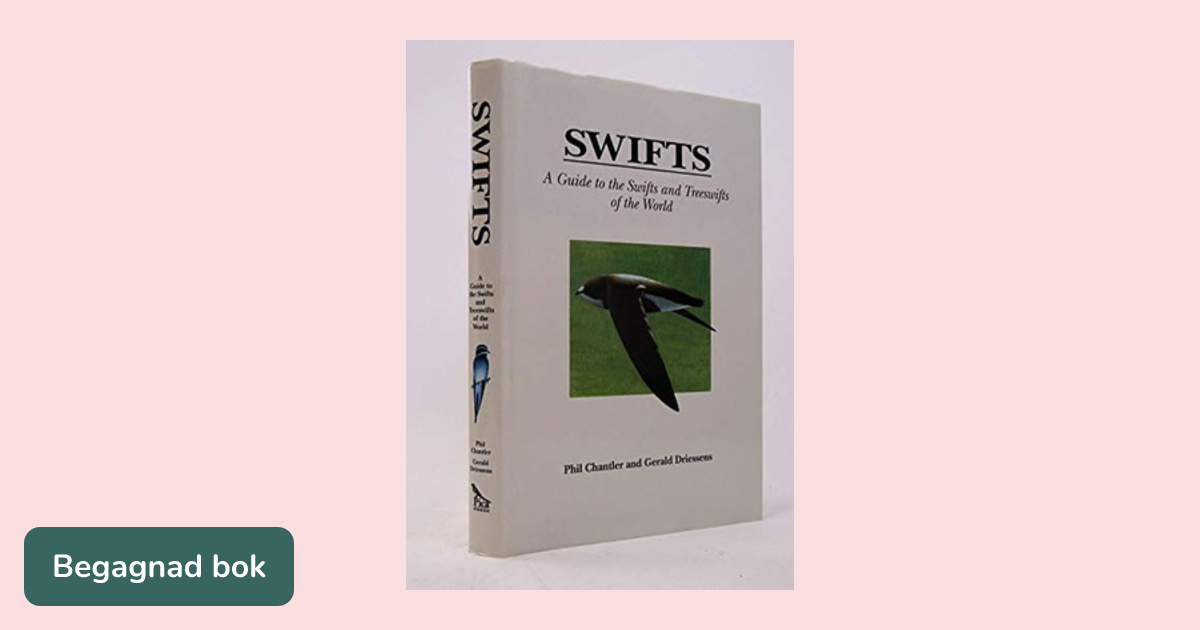 Swifts : a guide to the swifts and treeswifts of the world - ISBN 9781873403310 | Studentapan