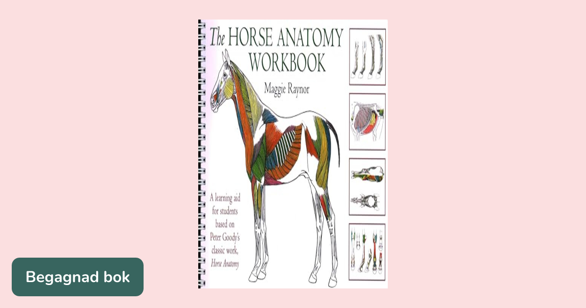 The horse anatomy workbook : a learning aid for students based on Peter ...