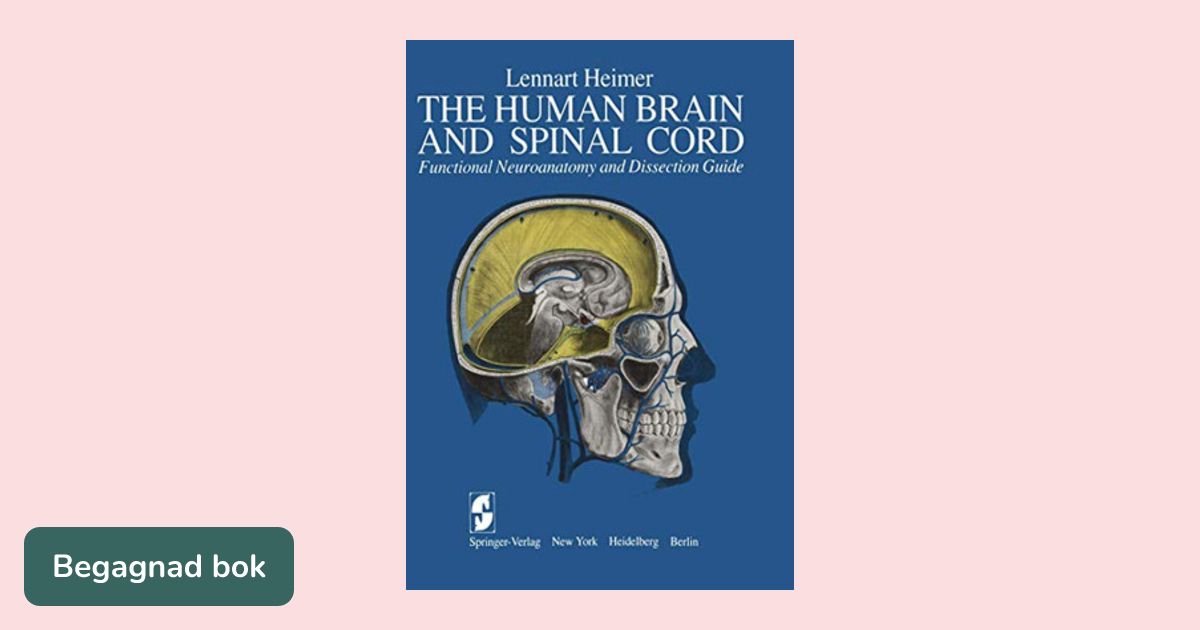 The human brain and spinal cord : functional neuroanatomy and ...